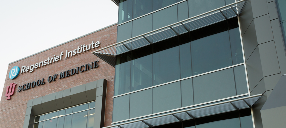 Regenstrief Institute selects Ohio State's Peter Embi as new leader ...